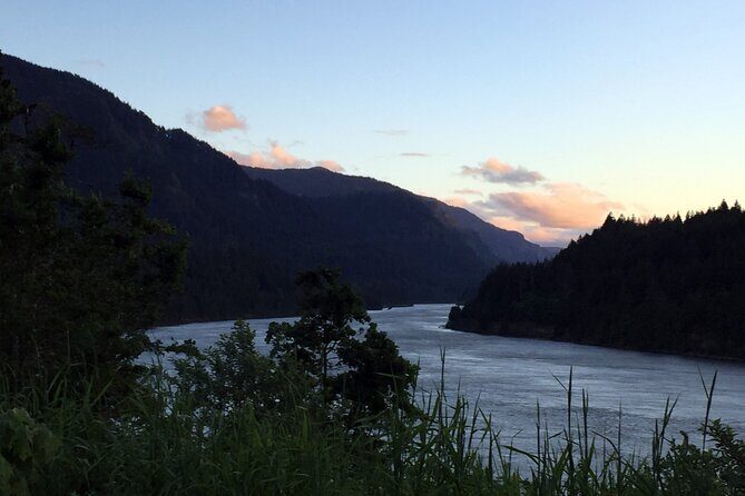 Columbia Valley and Columbia Gorge Wine Tasting - Authentic Experiences and Traveler Insights