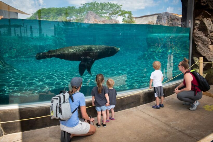 Columbus: Multiple Attractions Pass - What’s Missing? The Experience You Might Expect