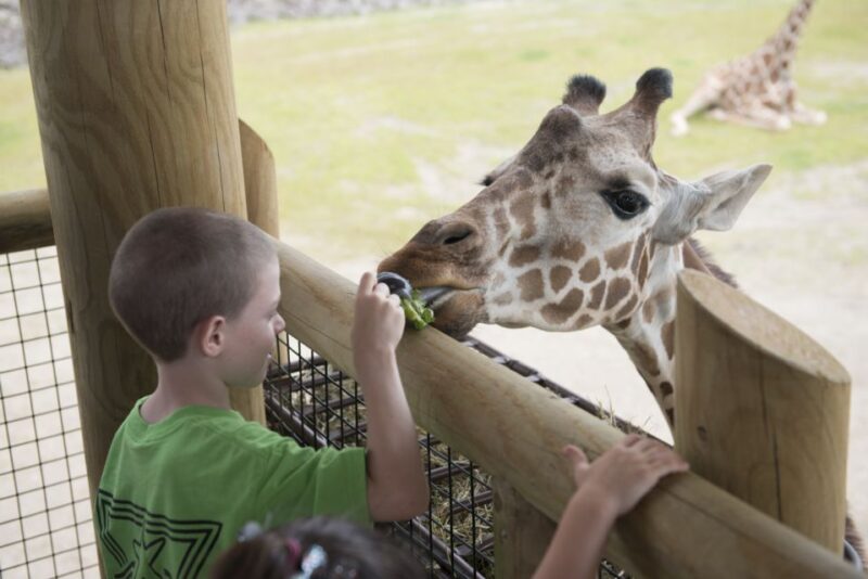 Columbus: Multiple Attractions Pass - What to Expect During Your Visit