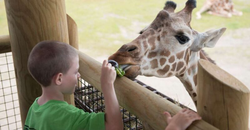 Columbus: Multiple Attractions Pass - The Real Value of This Pass