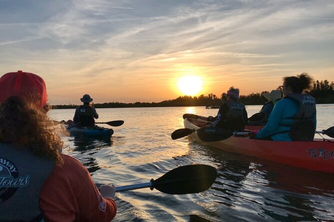 Comb Jelly Bioluminescence Kayak Tour - Introduction to the Comb Jelly Bioluminescence Kayak Tour