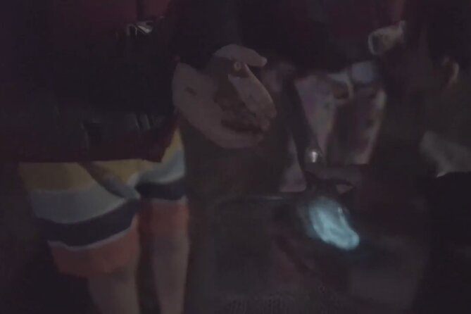 Comb Jelly Bioluminescence Kayak Tour - Price and Value: Is It Worth It?