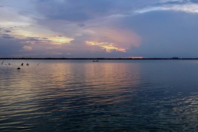 Comb Jelly Bioluminescence Kayak Tour - Who Will Love This Tour?