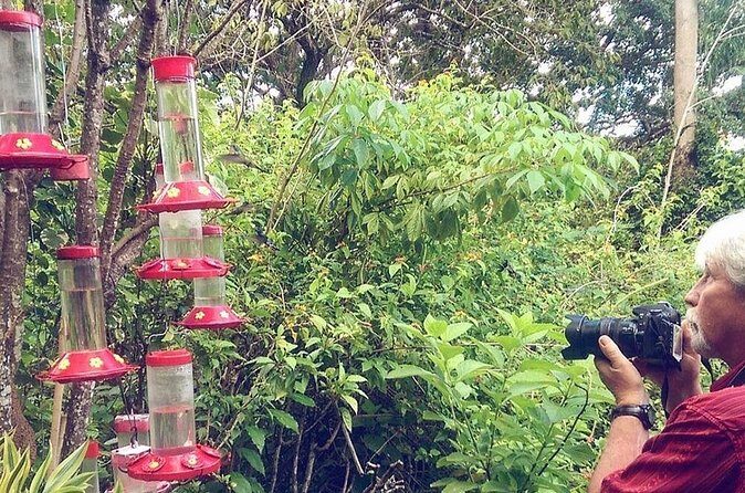 Combination: Argyle Waterfall & Tropical Garden with Hummingbirds - FAQ