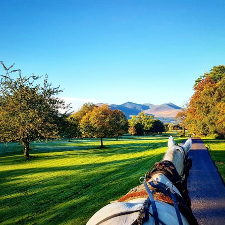 Combination Killarney Jaunting Car Tour and Lakes of Killarney Cruise - Key Points
