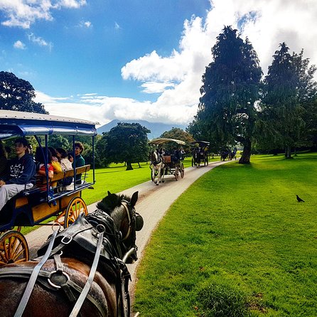 Combination Killarney Jaunting Car Tour and Lakes of Killarney Cruise - Jaunting Car Adventure Through Killarney National Park