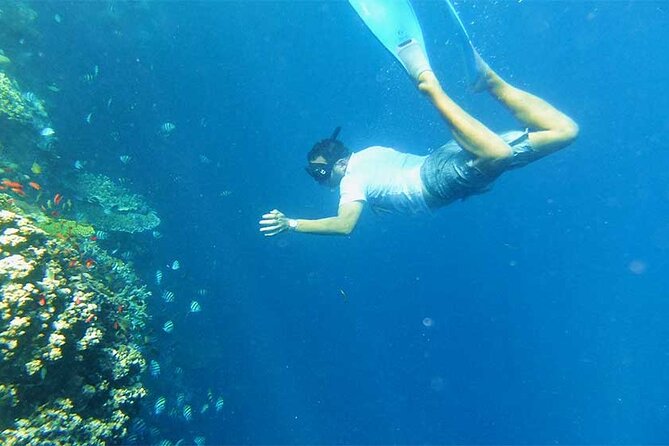 Combination Tour: Ayung river rafting With Blue Lagoon Snorkeling - Introduction