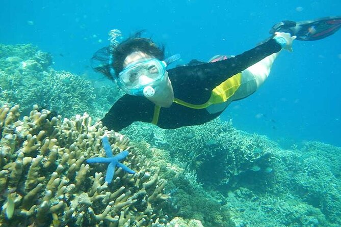 Combination Tour: Ayung river rafting With Blue Lagoon Snorkeling - What Sets This Tour Apart?