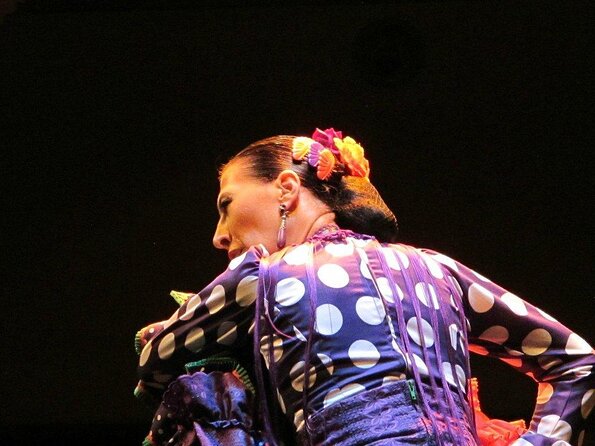 Combined Ticket: Puro Flamenco Show + Flamenco Museum Visit - Key Points