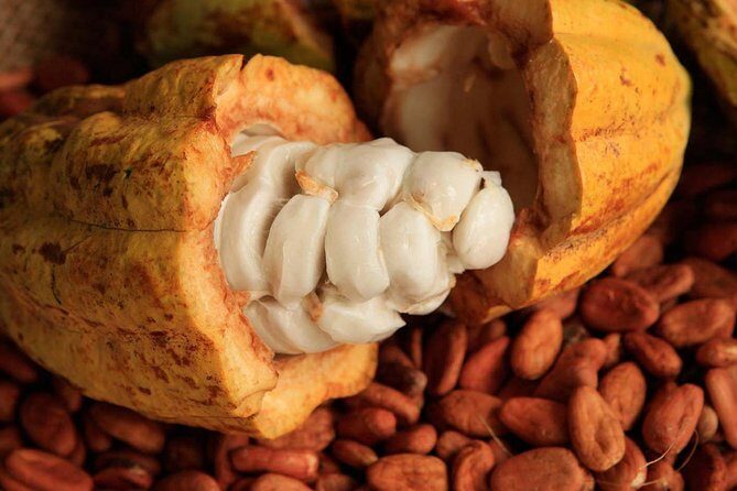 Combo 2 Caribbean Islands: Isla Mujeres, Cozumel with snorkel - Transportation and Timing: Why They Matter