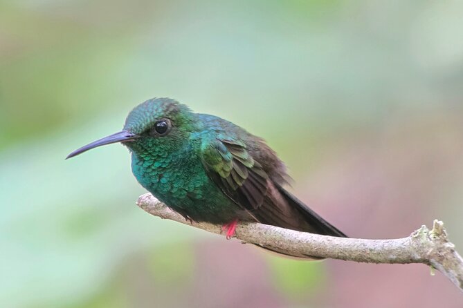 Combo 3 Best Tours In La Fortuna - Key Points