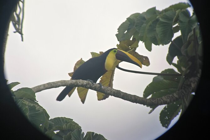 Combo 3 Best Tours In La Fortuna - Inclusions