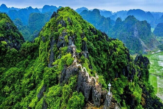 Combo 4 Days Tour : Hanoi Halong Bay and Ninh Binh - Who Will Love This Tour?