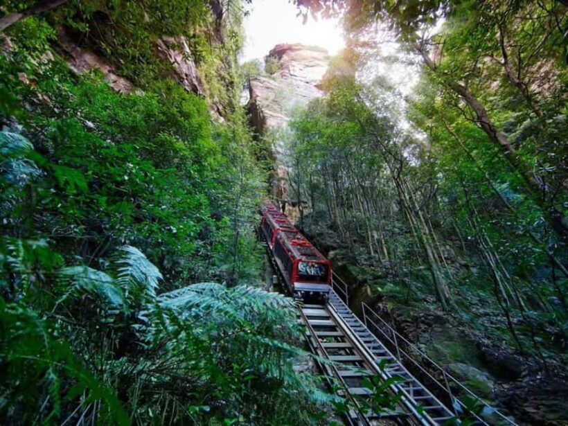 Combo: Blue Mountain Tour + Sydney Hop-on-Hop-off Bus Ticket - The Experience of Wildlife and Iconic Views