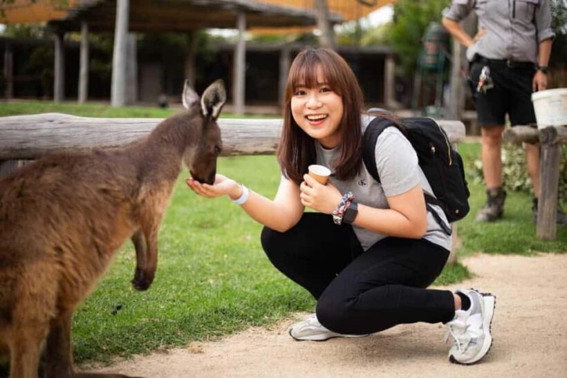 Combo: Blue Mountain Tour + Sydney Hop-on-Hop-off Bus Ticket - Value and Practical Considerations