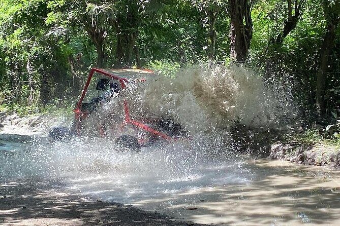 Combo: Buggy and Monkeys in Puerto Plata Group Adventure - What’s Included and What’s Not