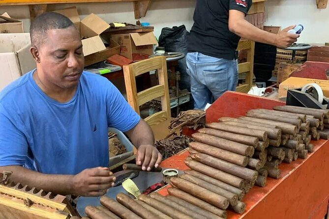 Combo City Tour and Beach with Typical Dominican Food - Who Will Love This Tour?