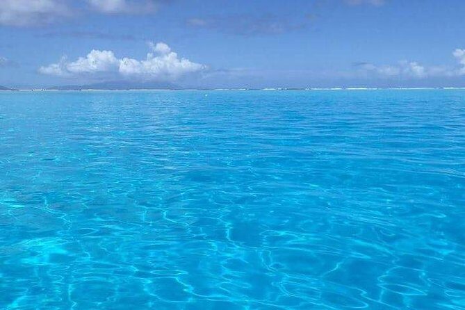 Combo Diving and Snorkeling Half-Day Tour - The Value and Practicalities of This Tour