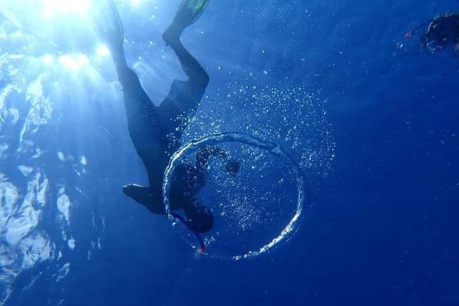 Combo Diving and Snorkeling Half-Day Tour - Why Choose This Experience?