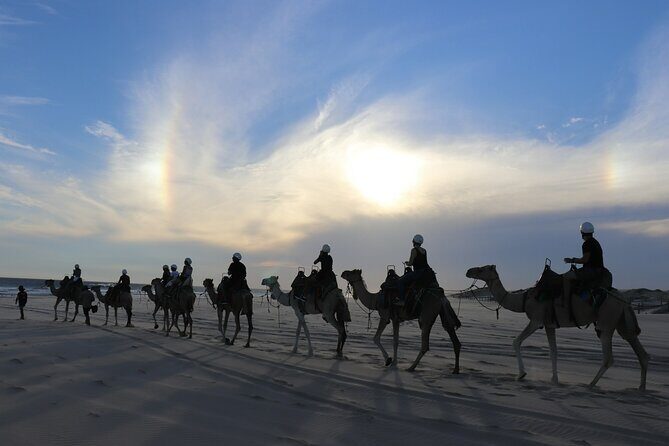Combo E-Bike Adventure with Camels and Lunch in Cabo - Key Points