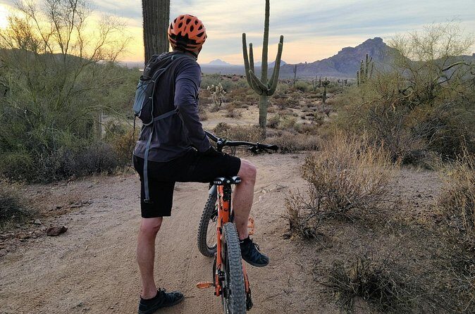Combo E-Bike Adventure with Camels and Lunch in Cabo - Final Words