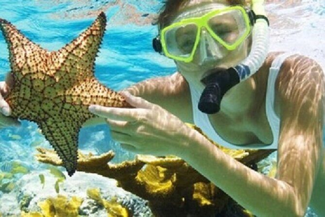 Combo El Yunque Rainforest and San Juan Snorkeling with Transport - Authentic Experiences & Guest Insights