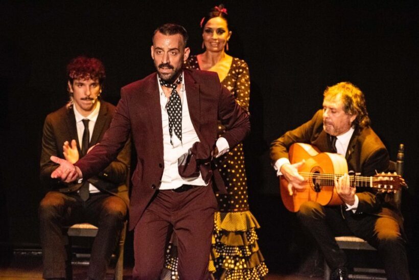 Combo: Hop on hop off + Flamenco Show & Walking tours - Reviewing the Experience: What Travelers Say