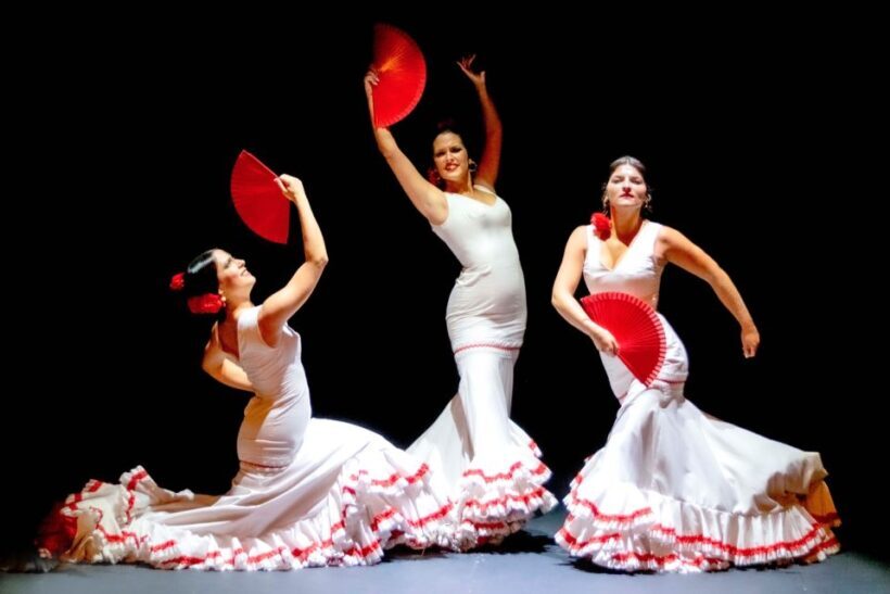Combo: Hop on hop off + Flamenco Show & Walking tours - Who Should Consider This Tour?
