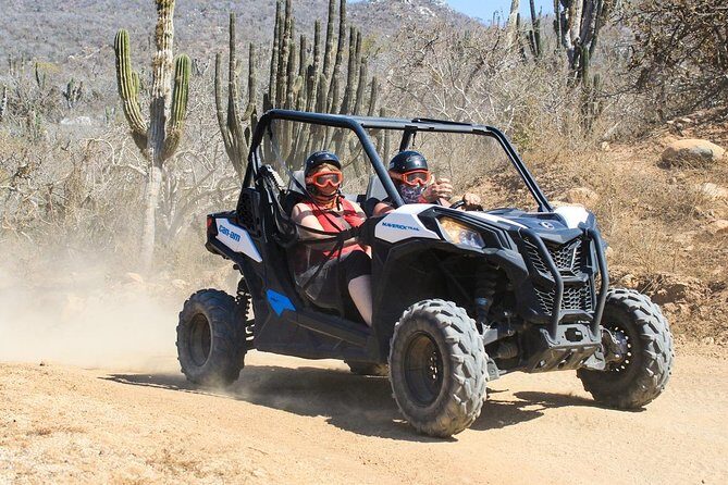 COMBO Horseback Riding & UTV Tour - An In-Depth Look at the Experience