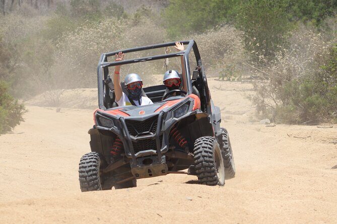 COMBO Horseback Riding & UTV Tour - The Sum Up: The Value and Who It’s Best For