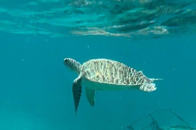 Combo Jeep Tour & Private Sailing Yacht - St Thomas - St John - The Sum Up