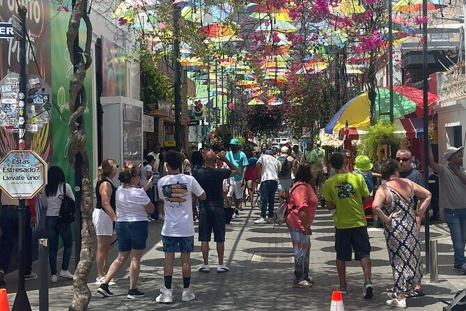 Combo : of Monkeys and Historical City Tour - Who Will Love This Tour?