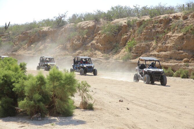 Combo Off Road 4x4 UTV Camel Ride Lunch and Tequila Tasting - Introduction: A Well-Rounded Adventure with Authentic Flavors