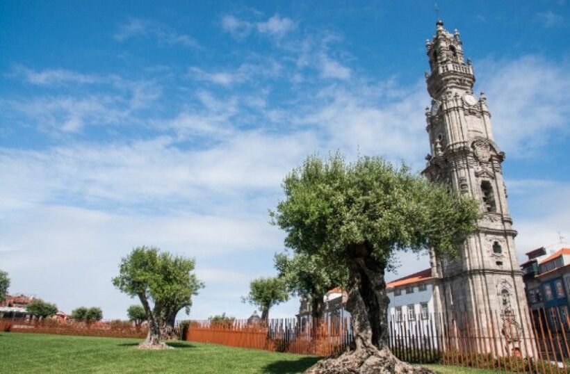 Combo: Porto City Half-Day Tour & Aveiro Half-Day Tour - What Travelers Say About the Tour