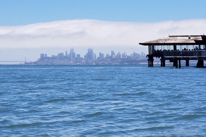 Combo Small-Group Tour: SF City Plus Muir Woods & Sausalito - Detailed Itinerary