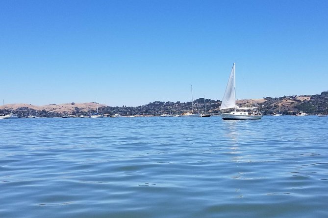 Combo Small-Group Tour: SF City Plus Muir Woods & Sausalito - Traveler Experiences