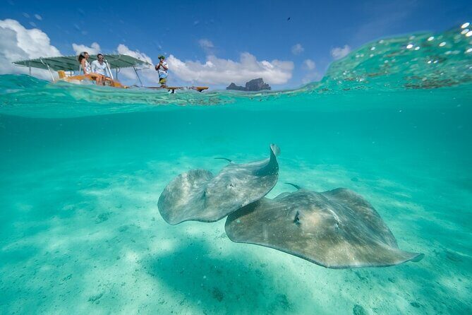 Combo snorkeling + motu lunch + jet ski group tour full day - Authentic Experiences That Leave You with Memories