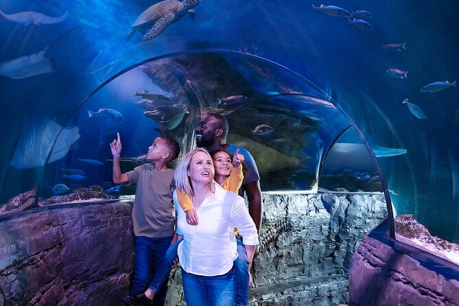 Combo Ticket: Madame Tussauds & SEA LIFE London Aquarium - The Sum Up: Is the Combo Ticket Worth It?