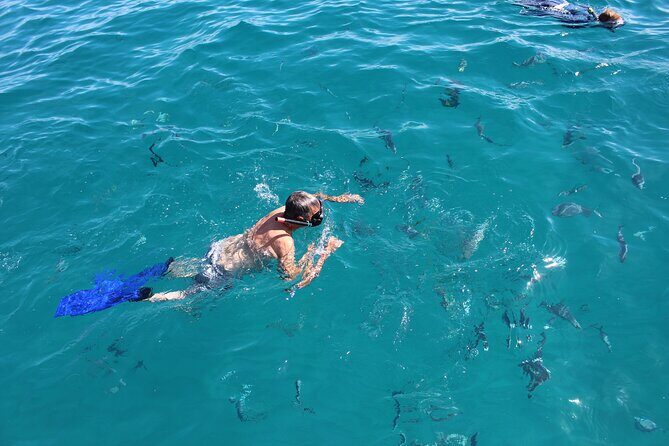 Combo Tour: City Tour of Cabo San Lucas and Beach Day - The Sum Up: Is It Worth It?
