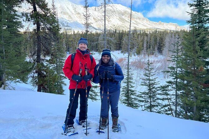 Combo Tour: Driving and Snowshoe Trek of Glacier National Park - Introduction to the Experience