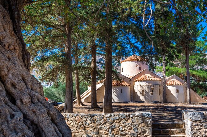 Combo Tour: Knossos & Lasithi Plateau, Lasinthos, Olive Mill Farm - Guest Experiences and Feedback