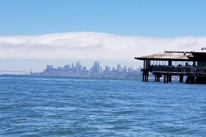 Combo Tour: Muir Woods, Sausalito and Sonoma Wine Country Tour - Who Will Love This Tour?