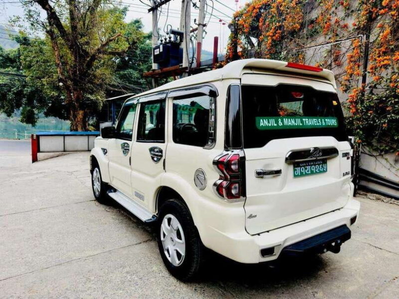 Comfortable Private Transfer from Pokhara to Chitwan - Comfortable Private Transfer from Pokhara to Chitwan