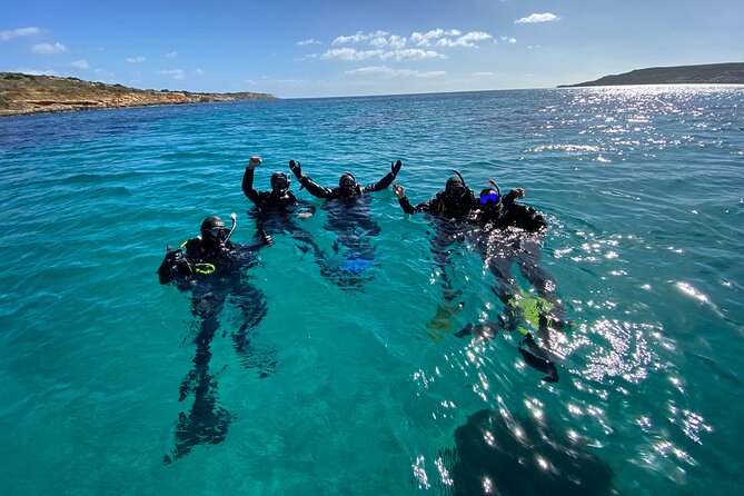 Comino Guided Snorkeling Experience - Final Stop: Alex Cave and Crystal Lagoon