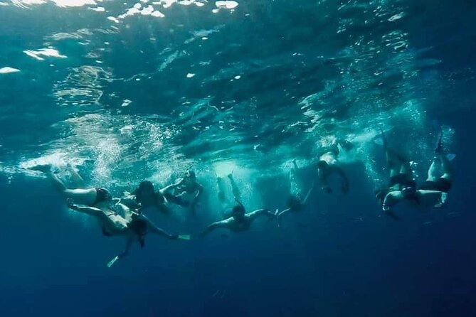 Comino Guided Snorkeling Experience - Who Should Consider This Tour?