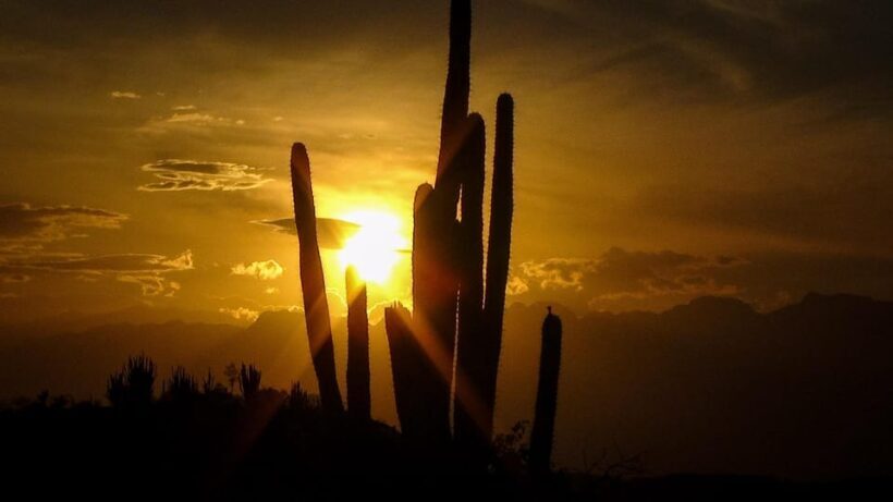 Community and Biodiversity Tour of the Tatacoa Neiva Desert - The Experience of Biodiversity and Community