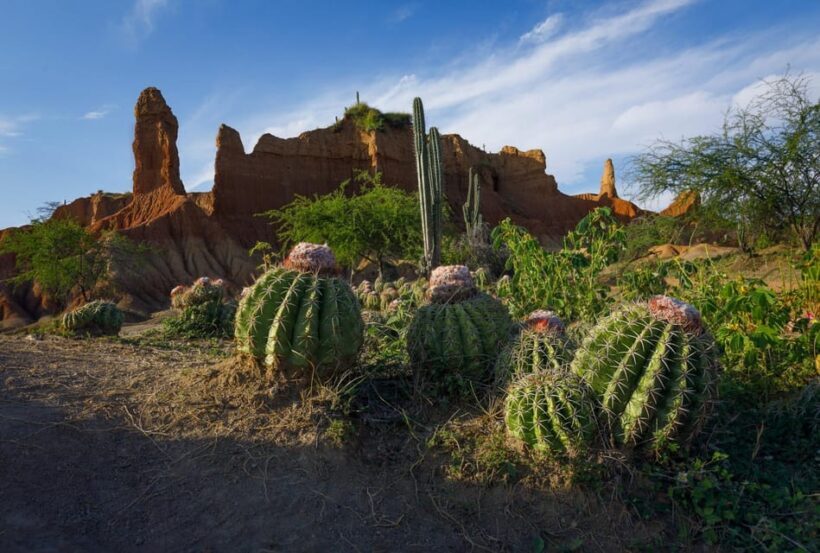 Community and Biodiversity Tour of the Tatacoa Neiva Desert - Practical Tips for Travelers