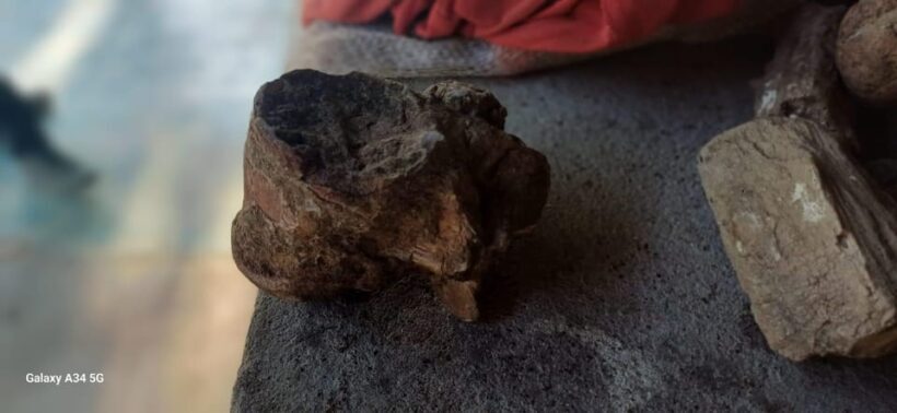 Community and Biodiversity Tour of the Tatacoa Neiva Desert - Final Thoughts