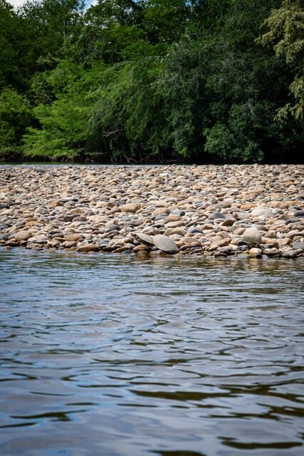 Community and Biodiversity Tour of the Tatacoa Neiva Desert - FAQ