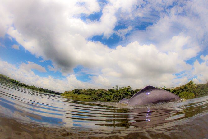 Community Tour 3 Days 2 Nights All Included in Guaviare - Meeting and Pickup